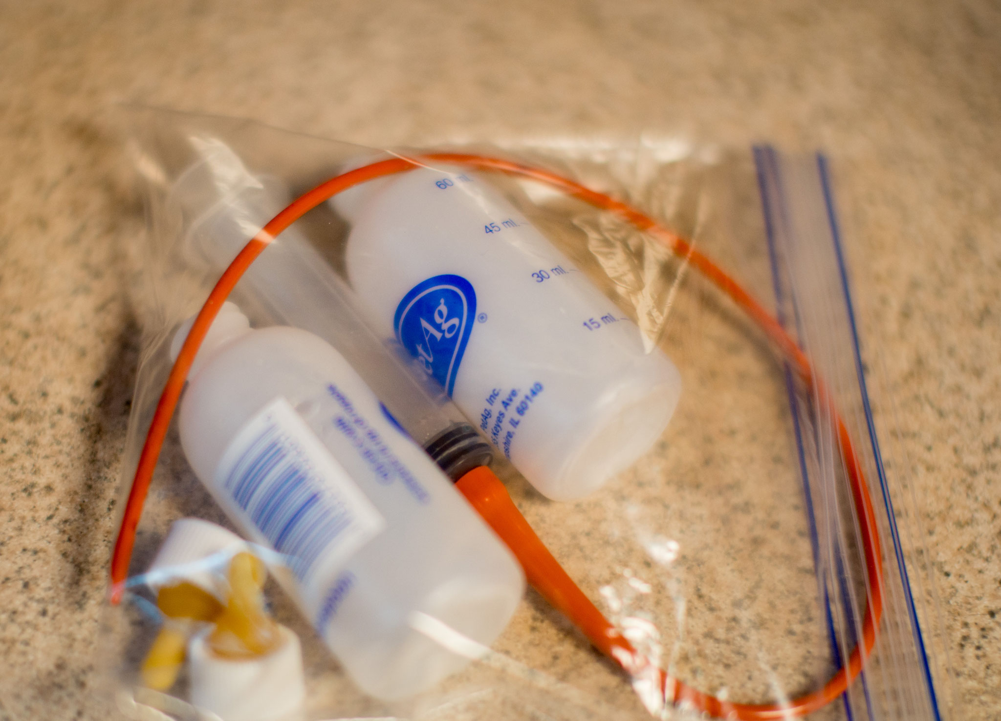 A Dog & Her Boy : Remembering Alley - Still My Soul Photography: by Tegan