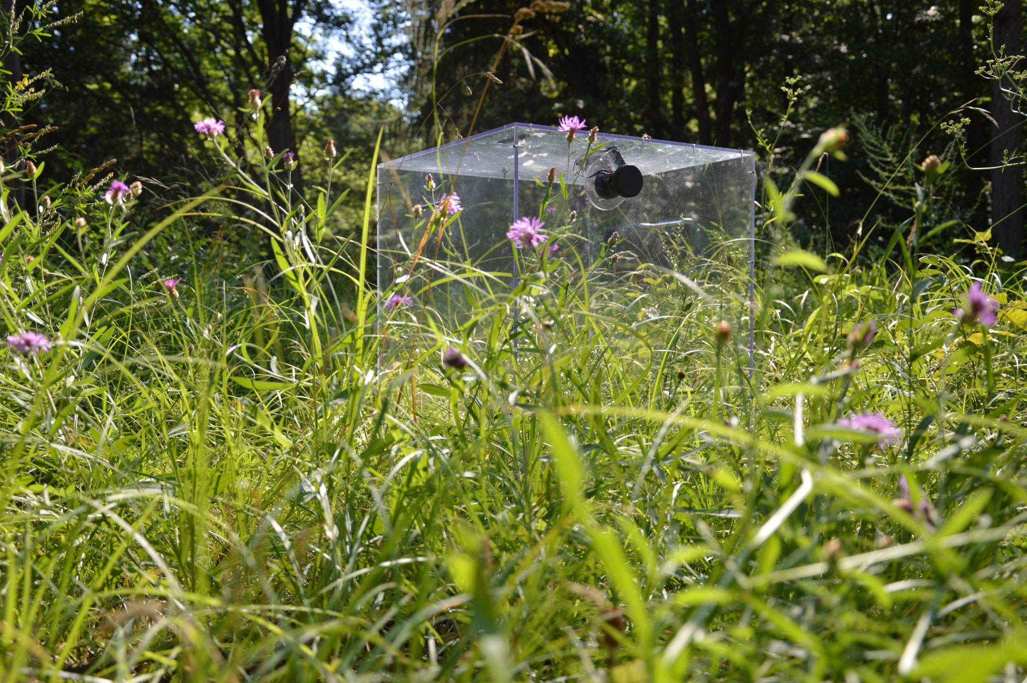 Ecosystem Respiration Chambers - Vienna Scientific