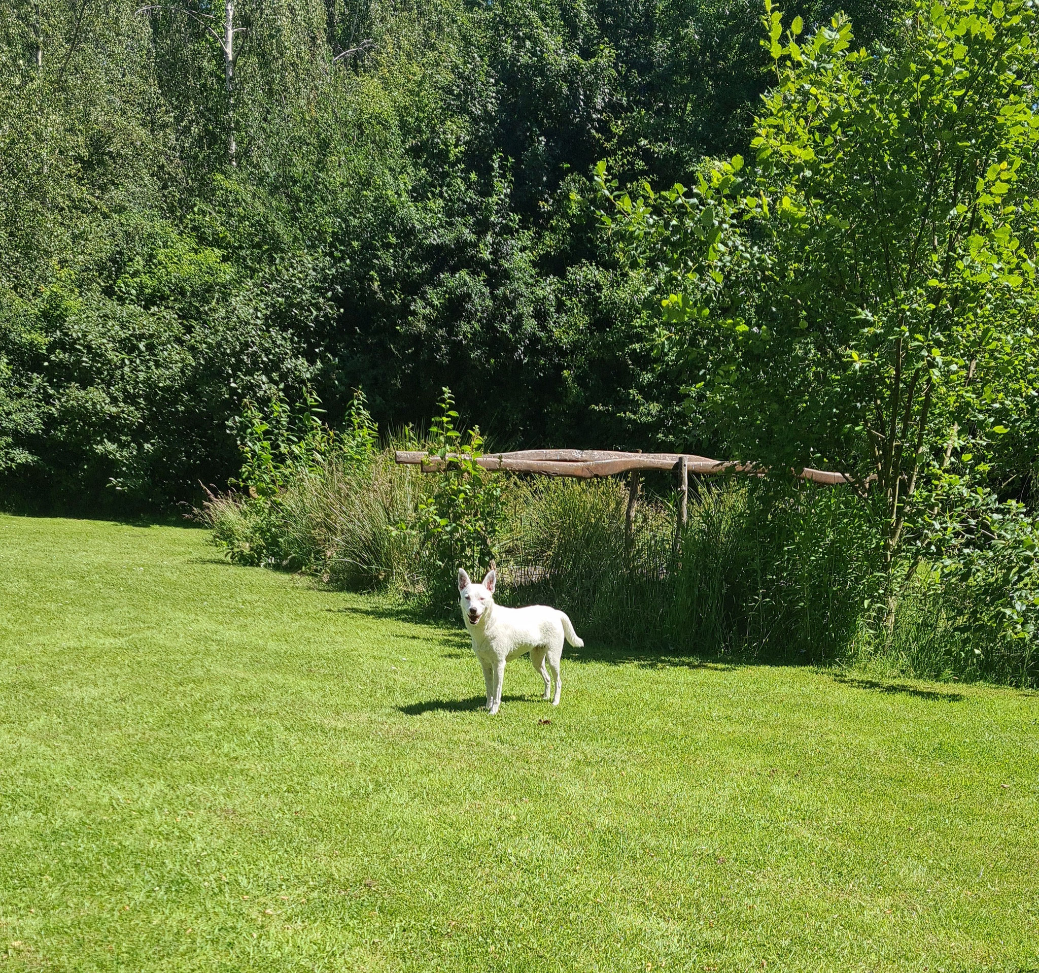 Snuffeltuin verhalen - De website van snuffeltuinen!