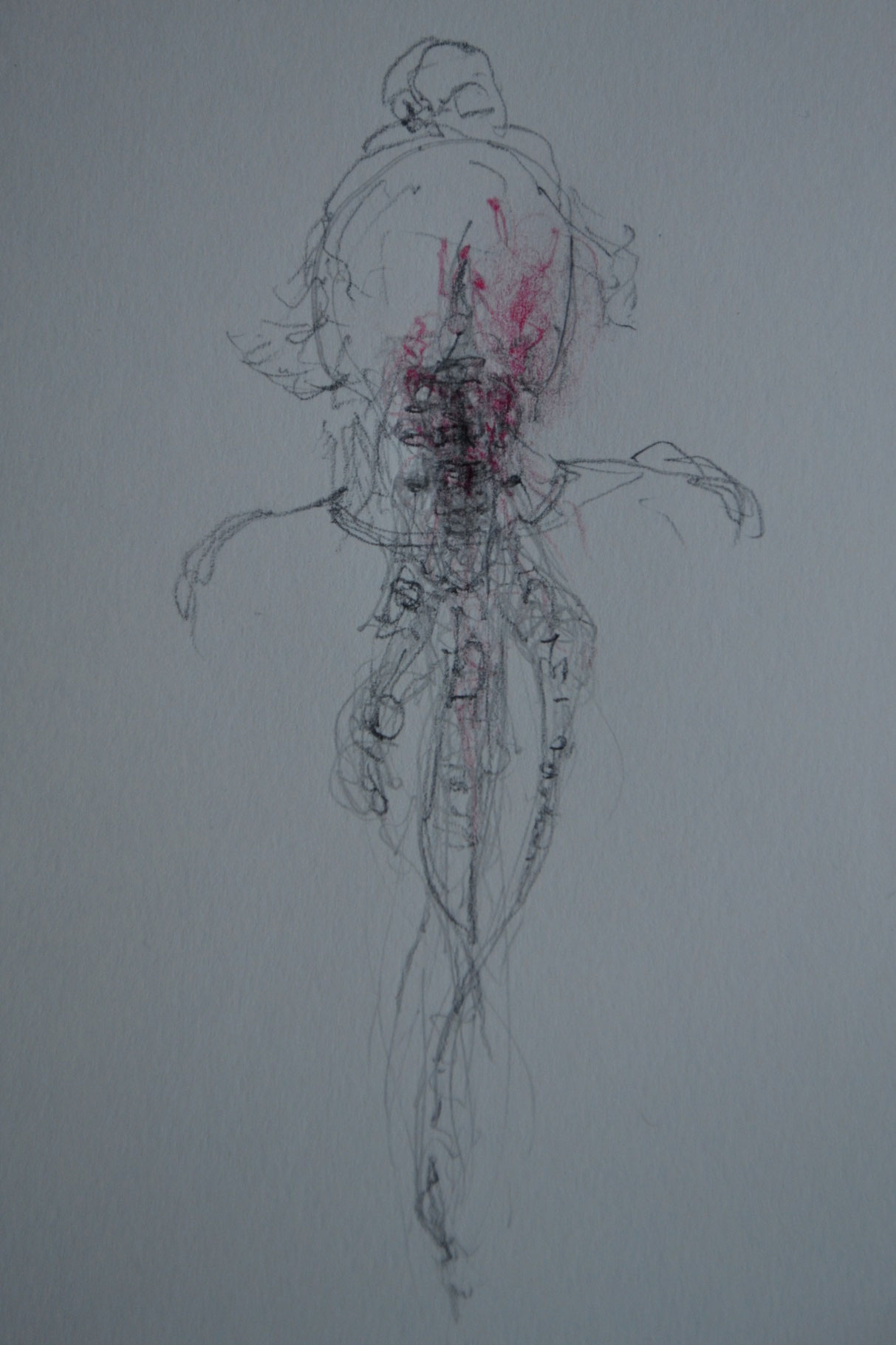 BRIEF SELF-PORTRAITS WITH PAIN - Gefart