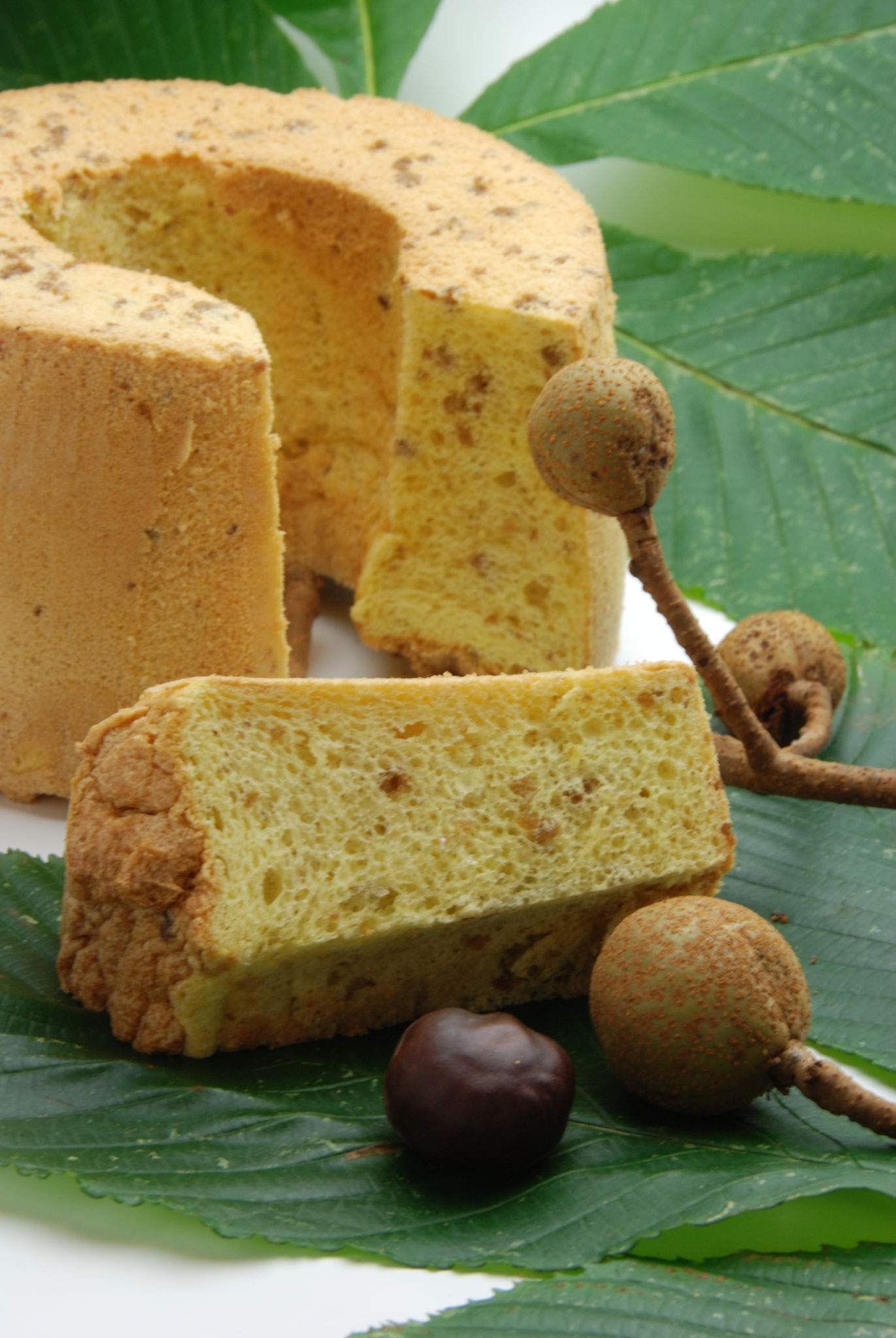 栃の実シフォン - senjudo-gero ページ！