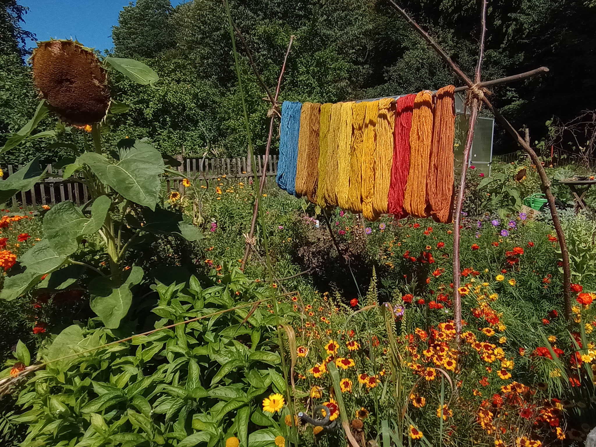 Impressionen aus dem Garten - Externsteine Werkstatt für Handwerk ...