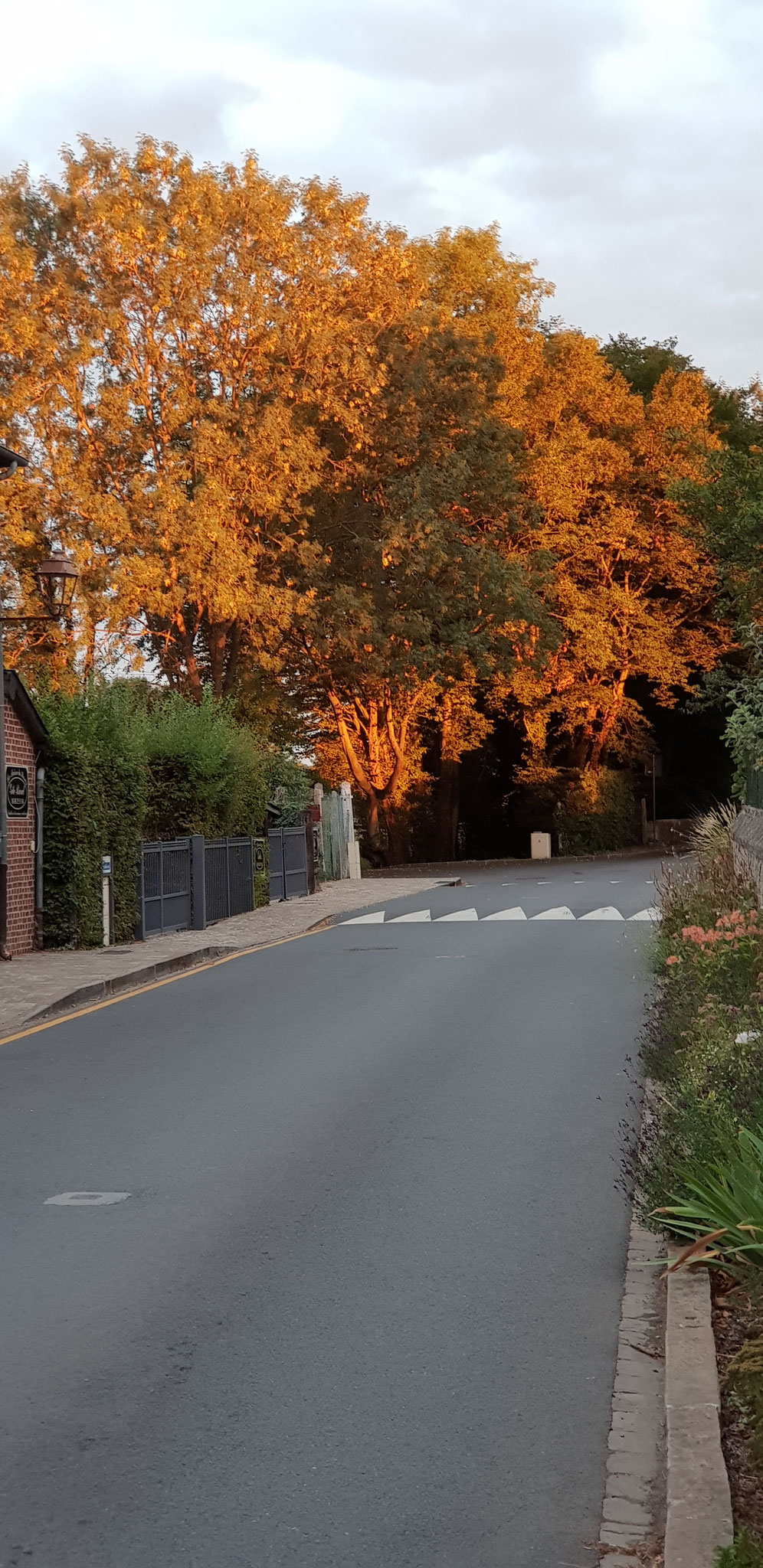 accueil - SITE OFFICIEL de la Mairie de Beuvron-en-Auge