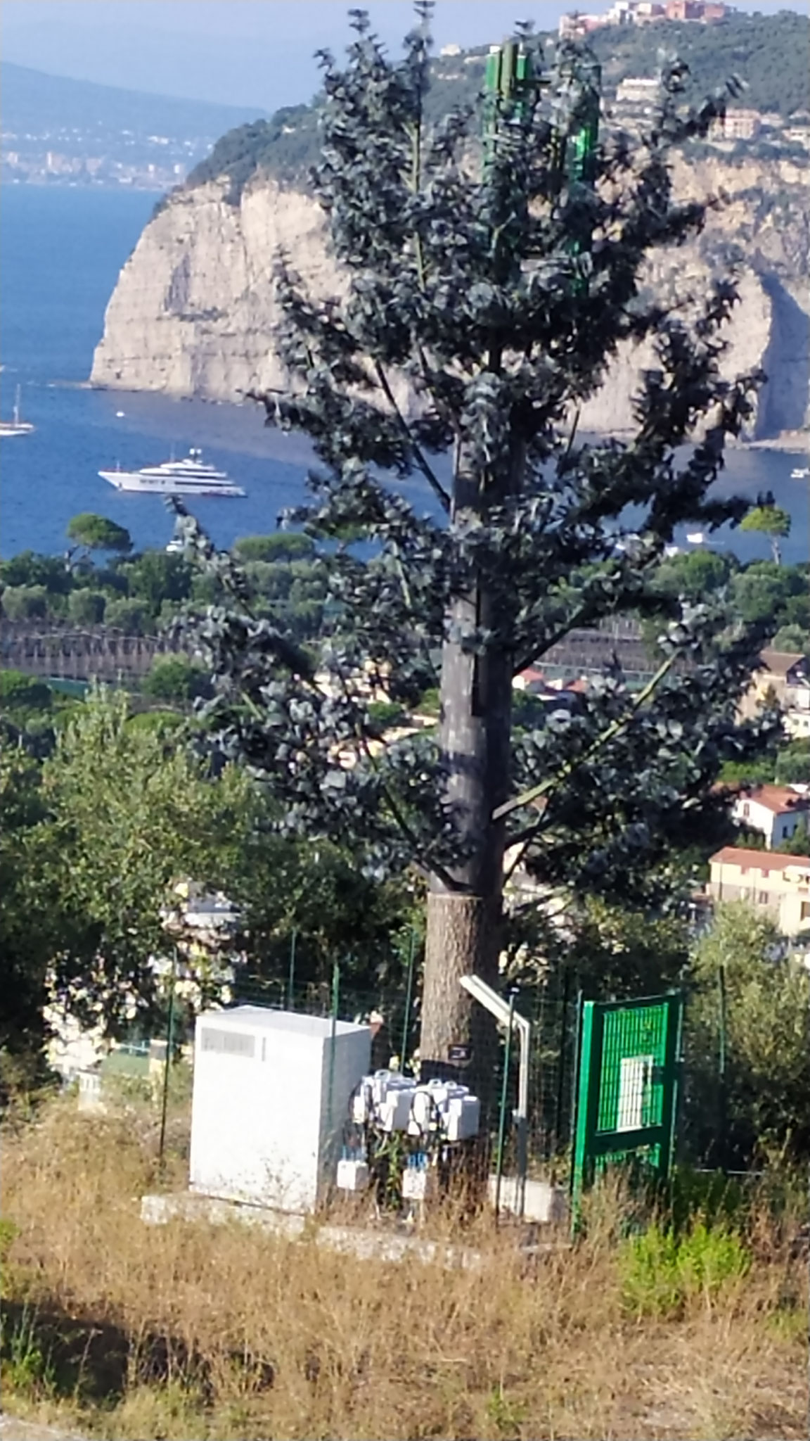 Antenne relais (type camouflage) - Sourcier, géobiologue ...