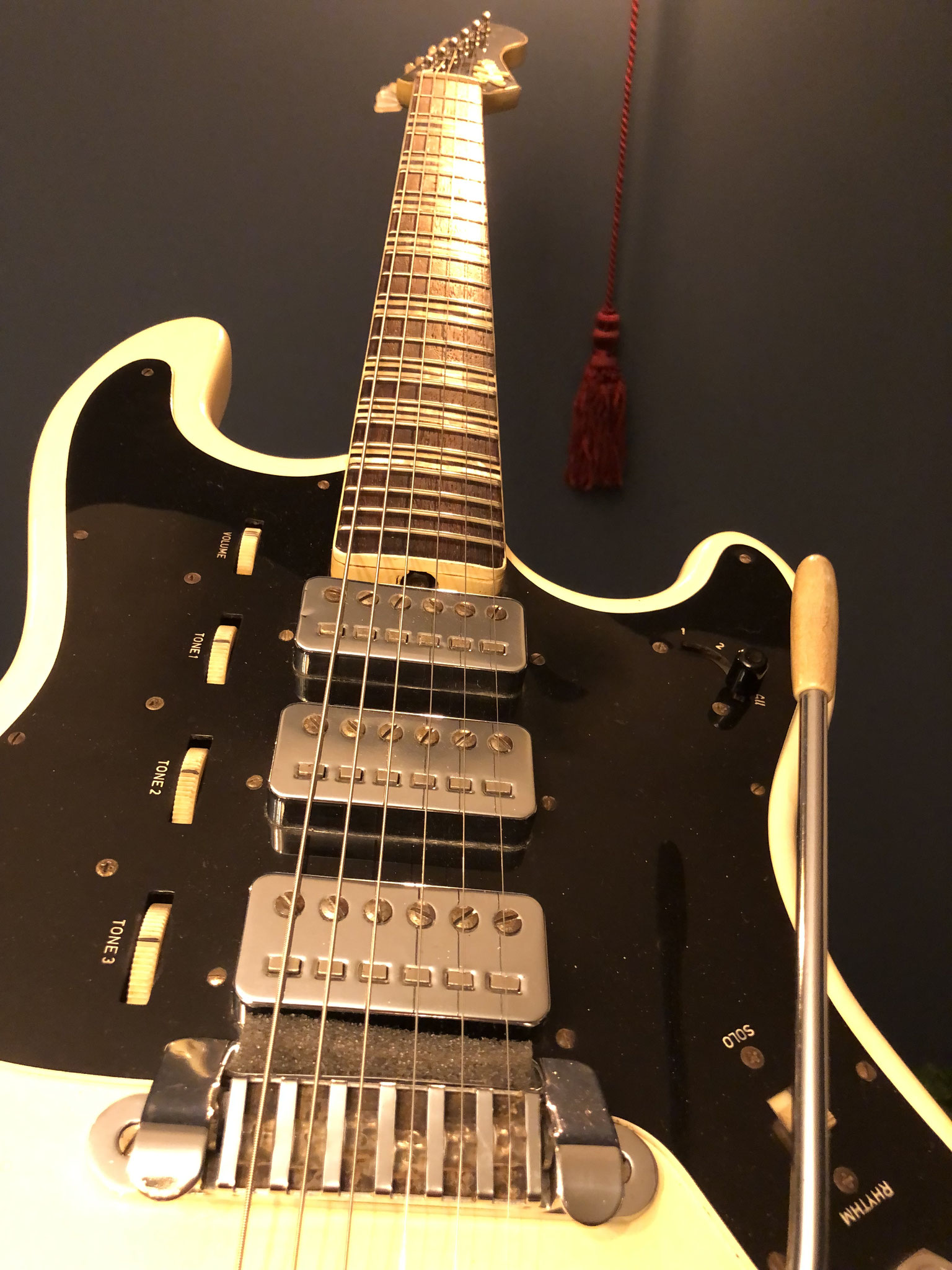 Hofner Galaxy 175 (early 60s) - G.R. Harrison, singer songwriter uit ...