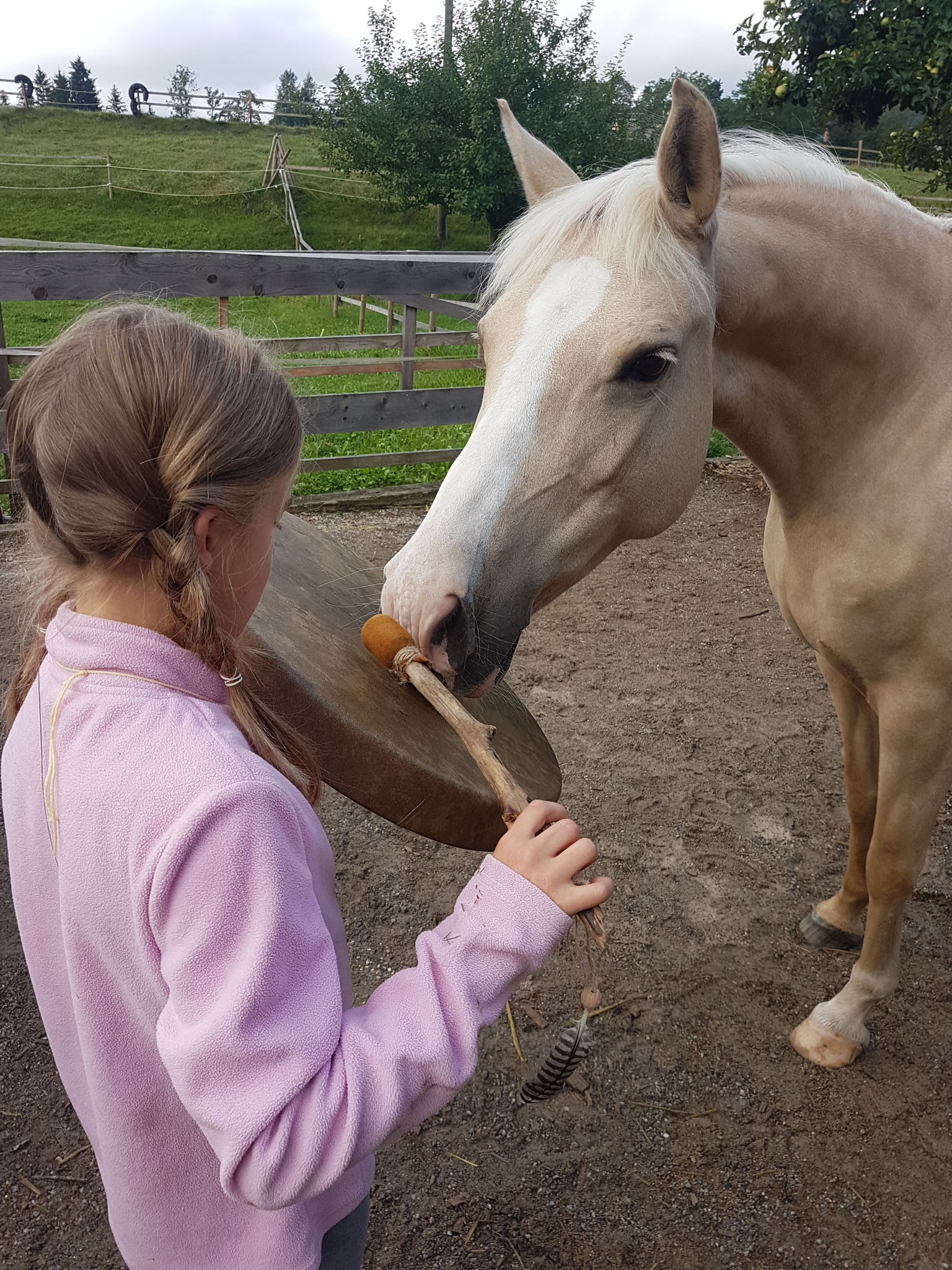 Start - Kind & Pony & Mehr-Reittherapie