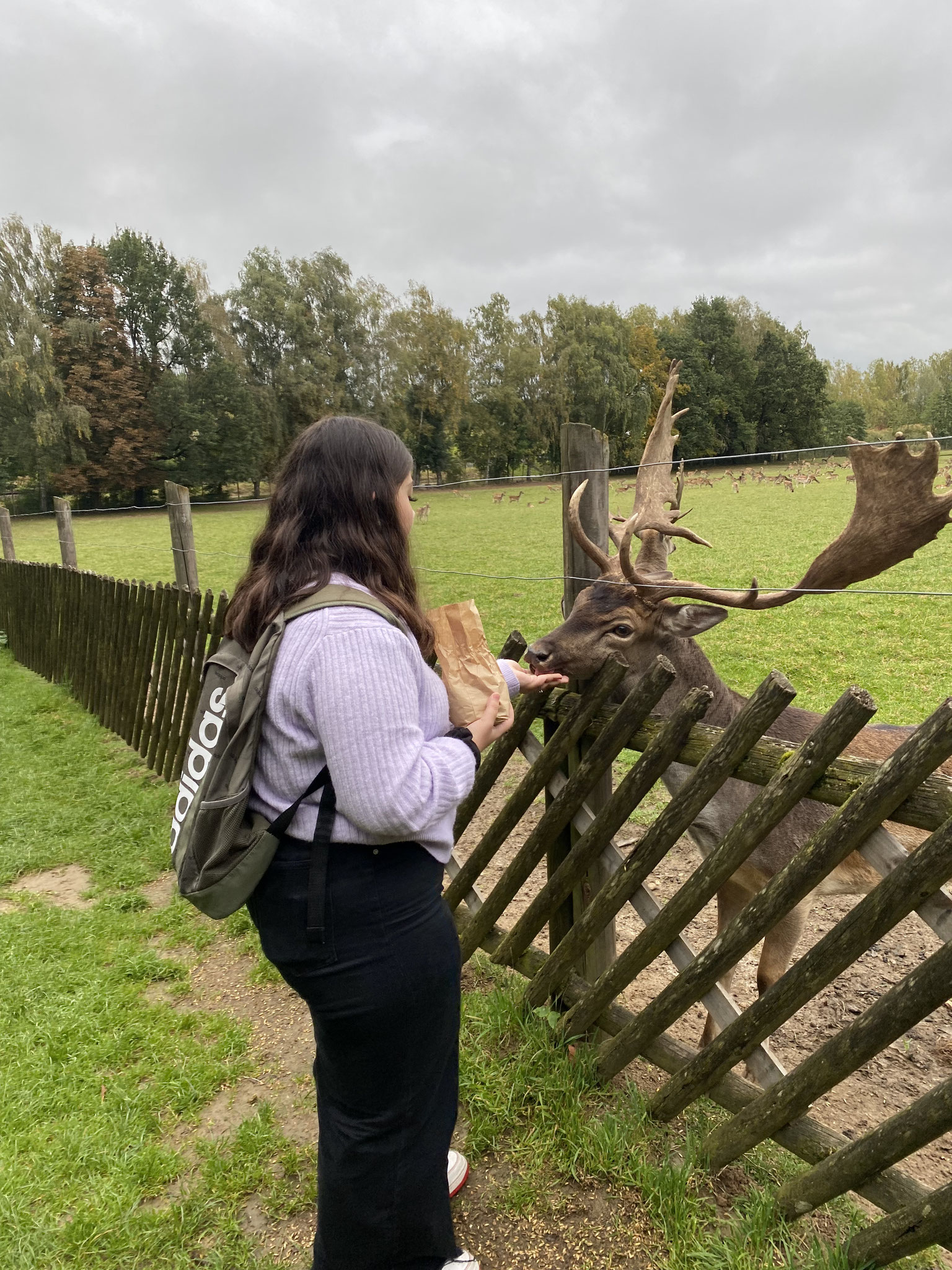Zusammen im Tierpark Poing - werner-von-siemens-mittelschuls Webseite!