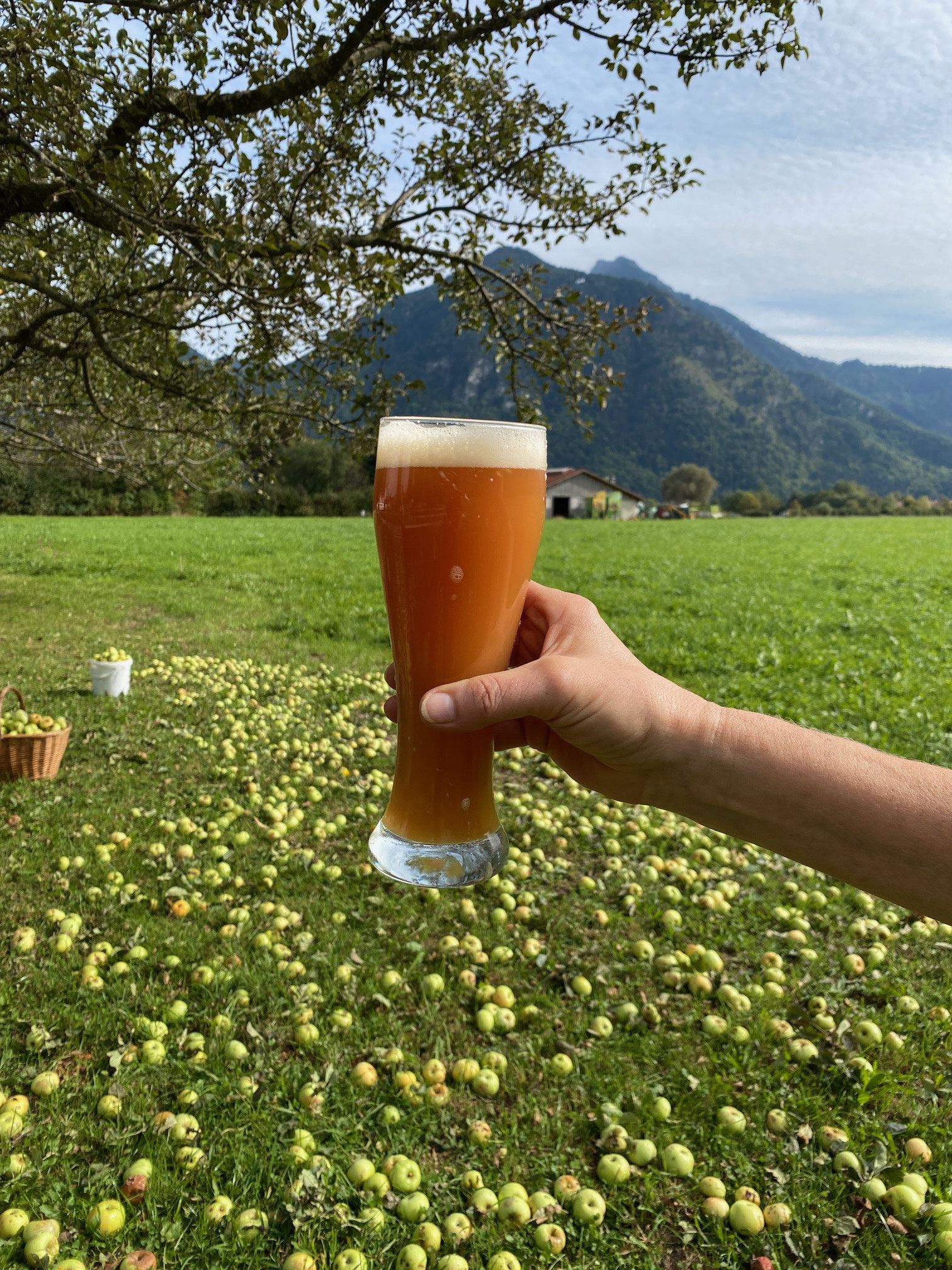 Apfelernte mit Saftpressen - Gartenbauverein Grassau