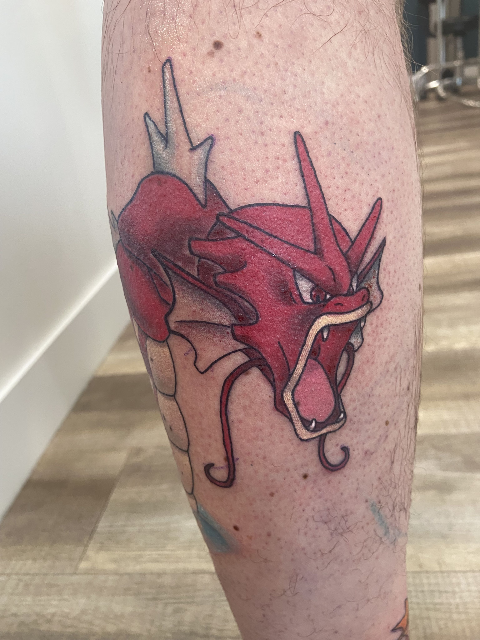 PROJECT: GOTTA CATCH 'EM ALL! - Rainbow Raptor Tattoo Studio