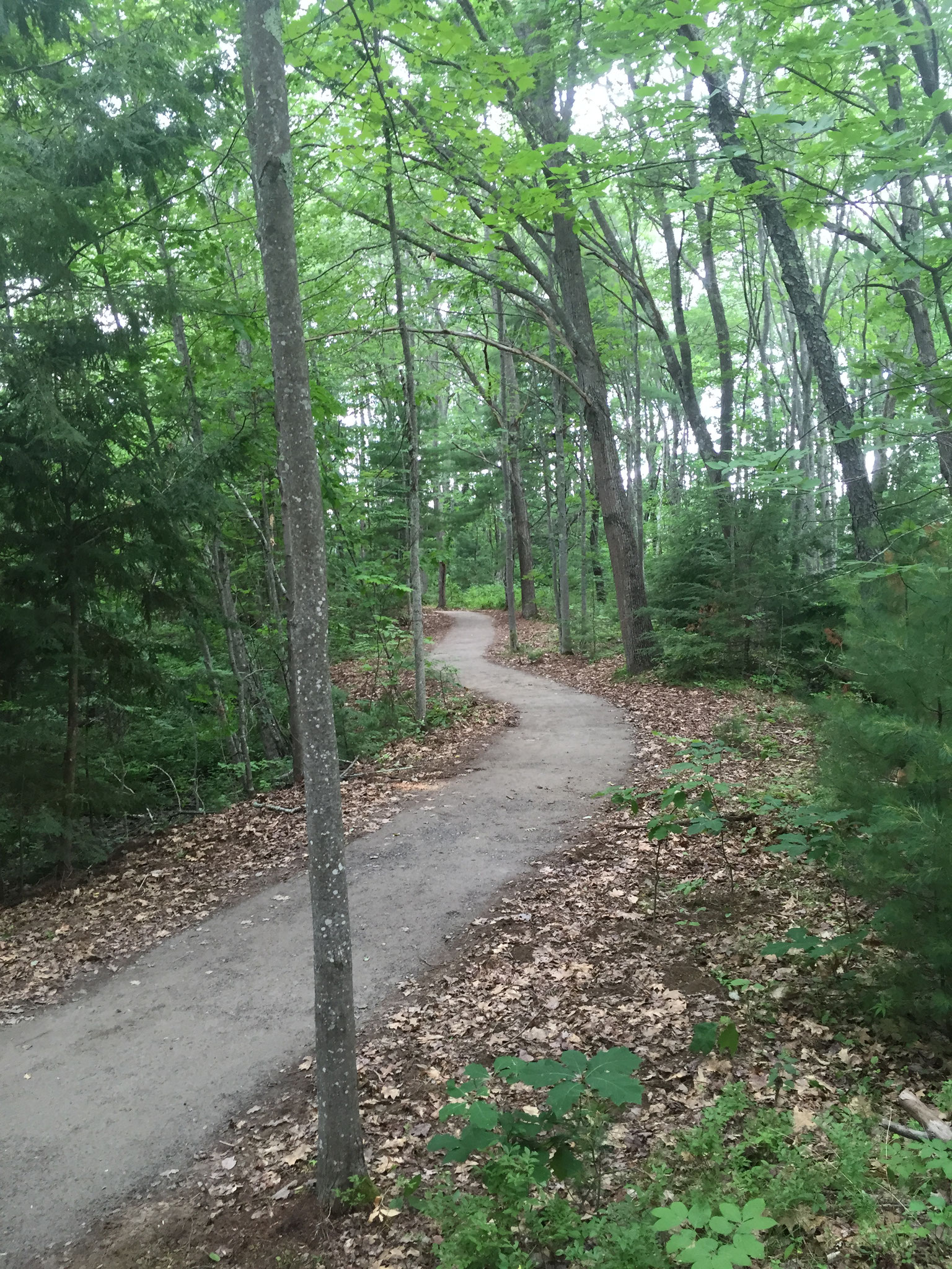 Accessible and Multi-Use - OBP Trailworks LLC