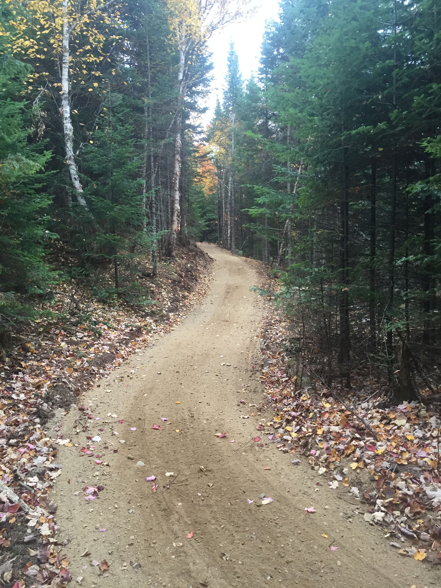 Accessible and Multi-Use - OBP Trailworks LLC