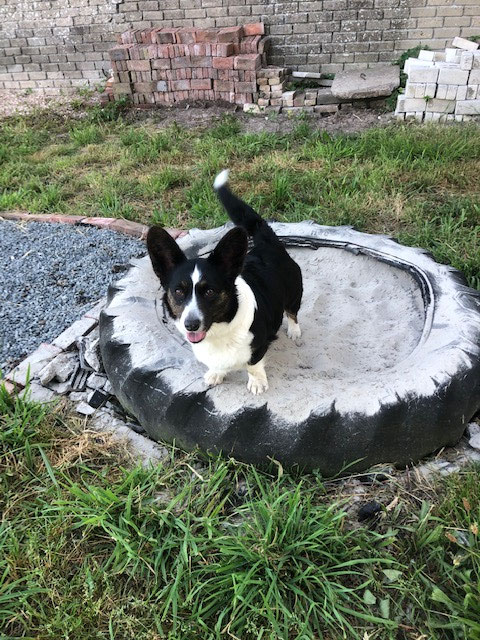 Drenthe - Coevorden - De website van snuffeltuinen!