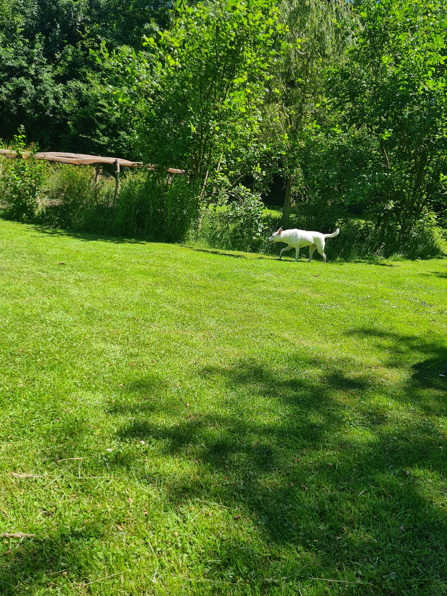 Snuffeltuin verhalen - De website van snuffeltuinen!