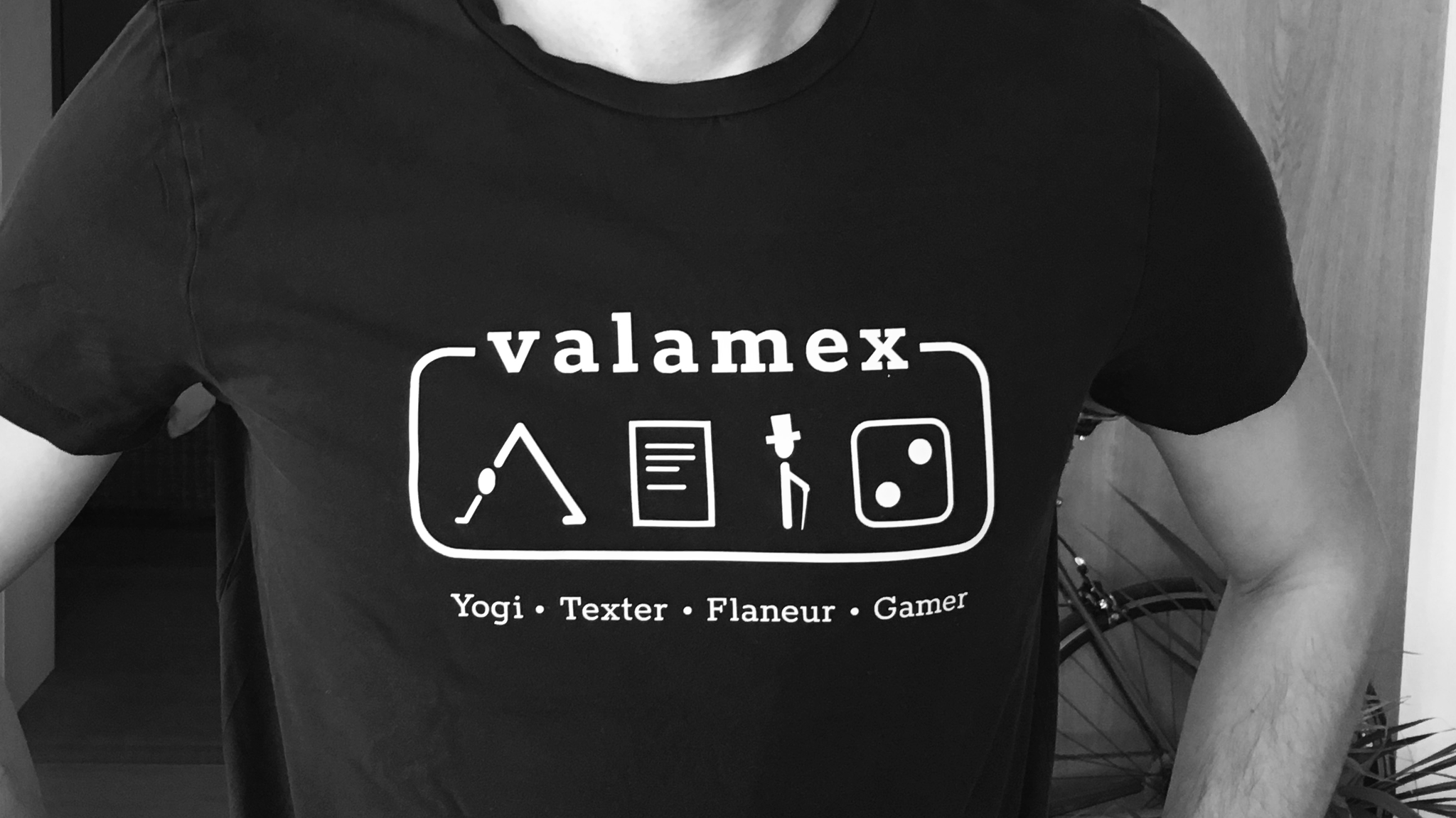 Logodesign für valamex - GRAPHIC JULEZ - Grafikdesign Klagenfurt