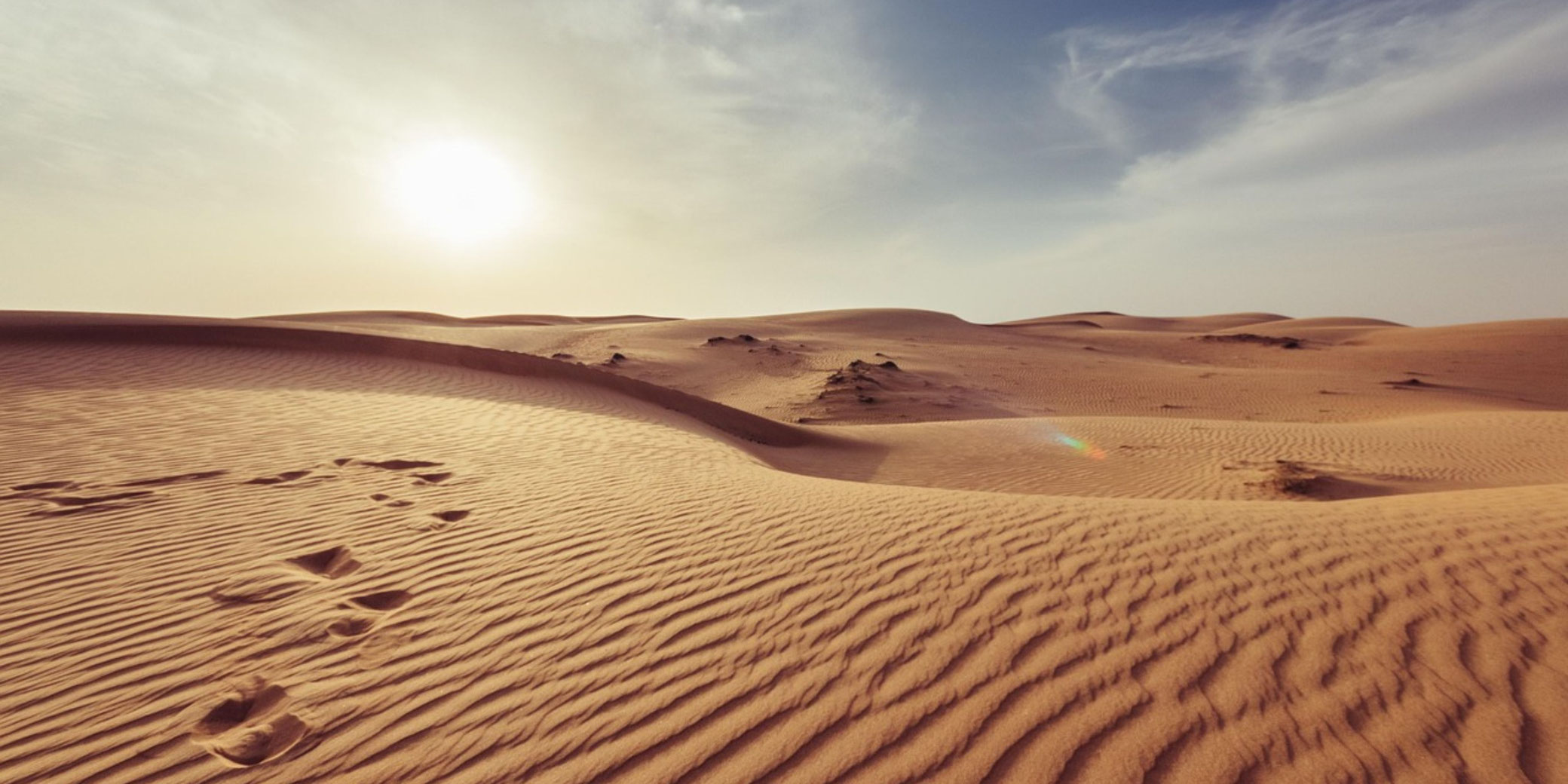 Alexander the Great’s murderous crossing of the Gedrosian Desert ...