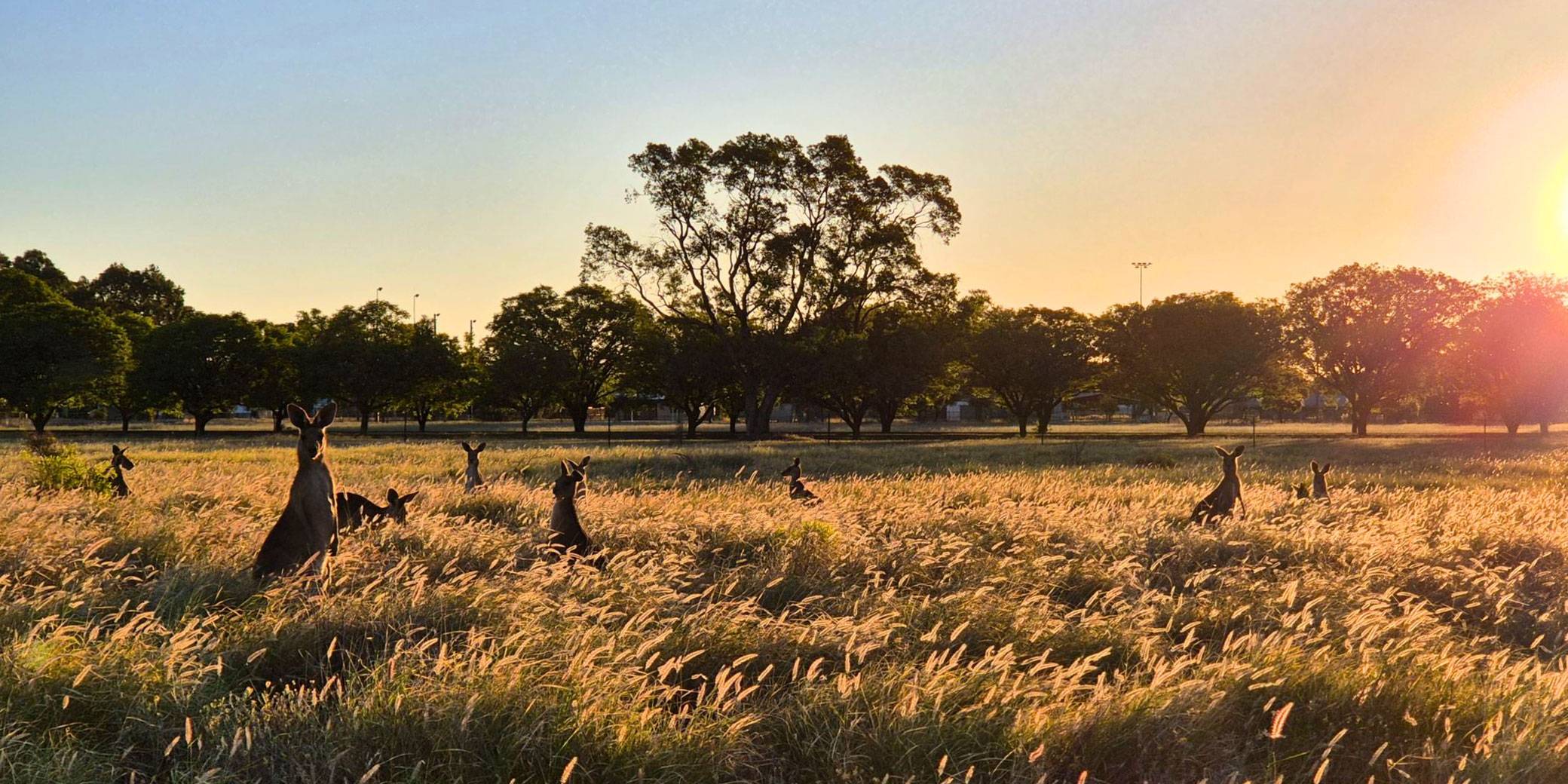 First Nations Migration to Australia Lesson - History Skills
