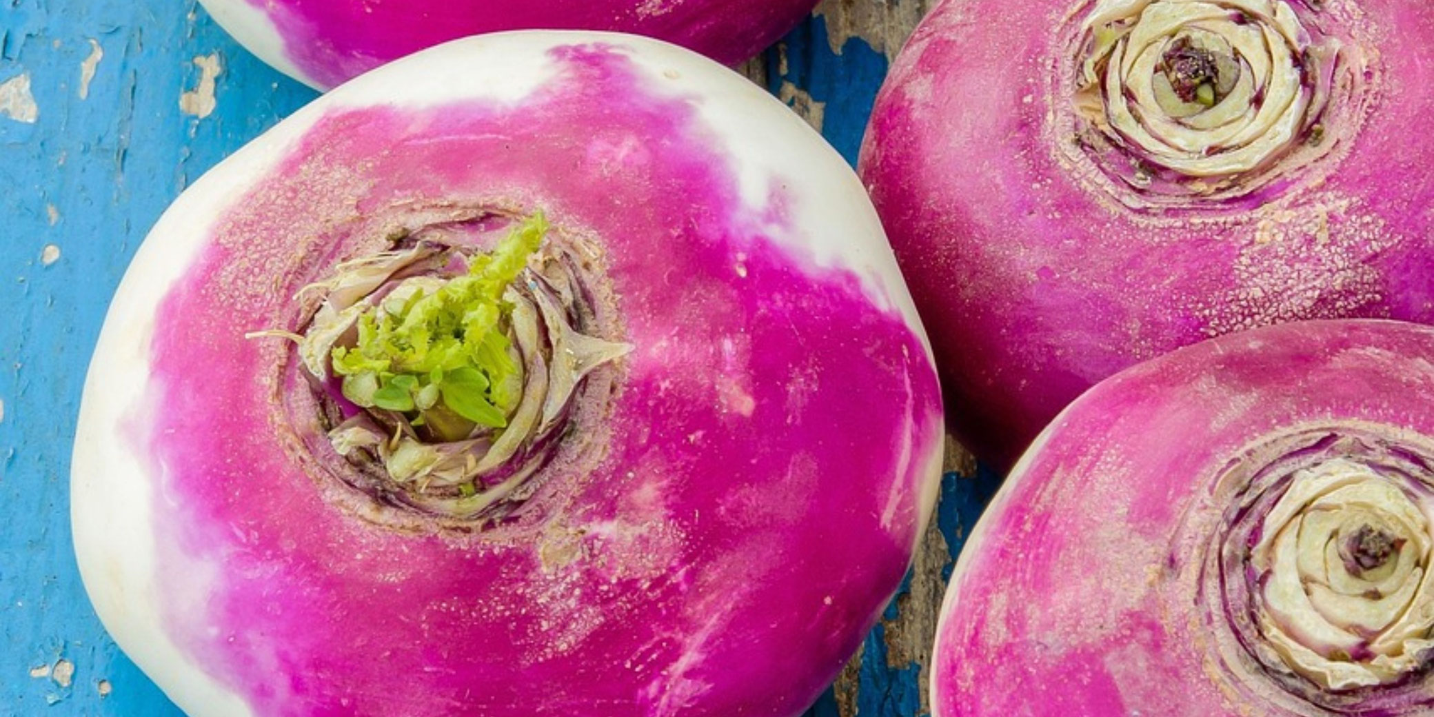 'Turnip' Townsend: The green thumb behind the British agricultural revolution - History Skills