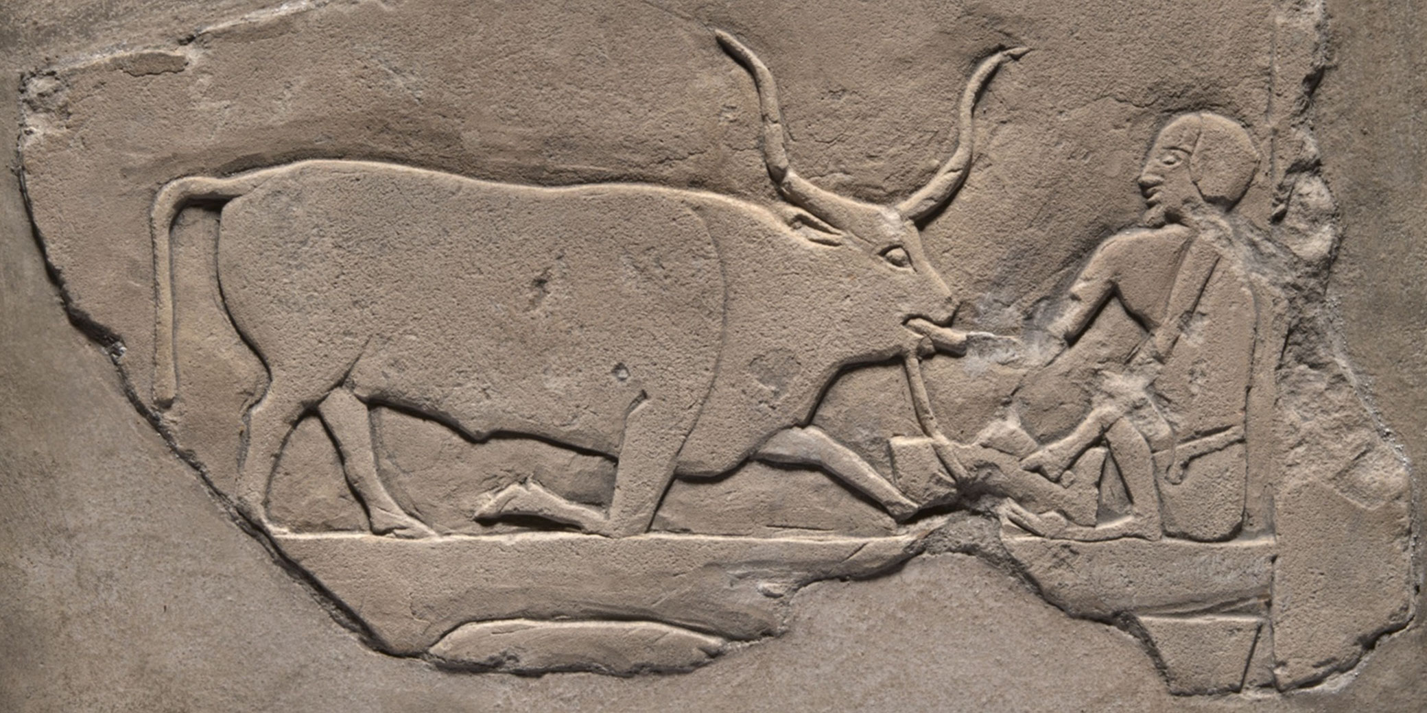 Egypt in darkness and chaos: The First Intermediate Period - History Skills