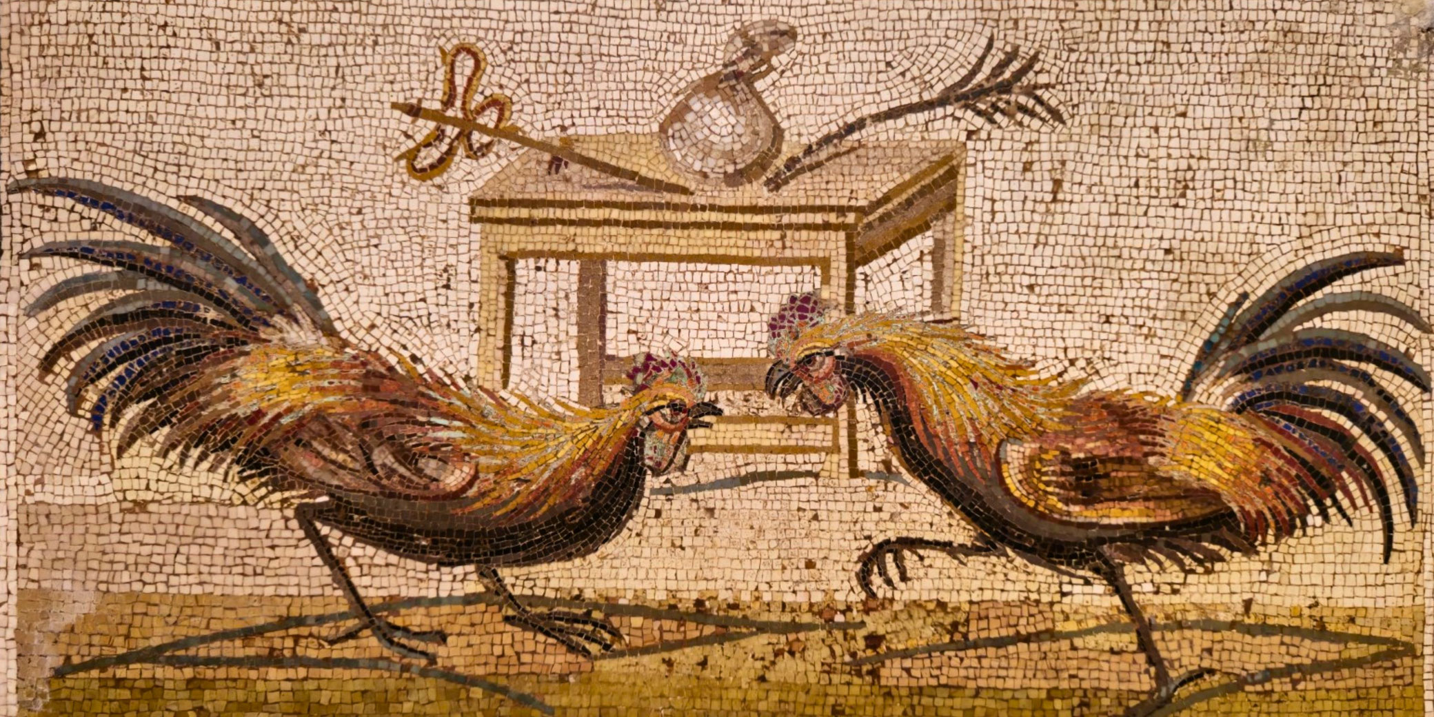 The History Teacher | @HistorySkills | Flipboard