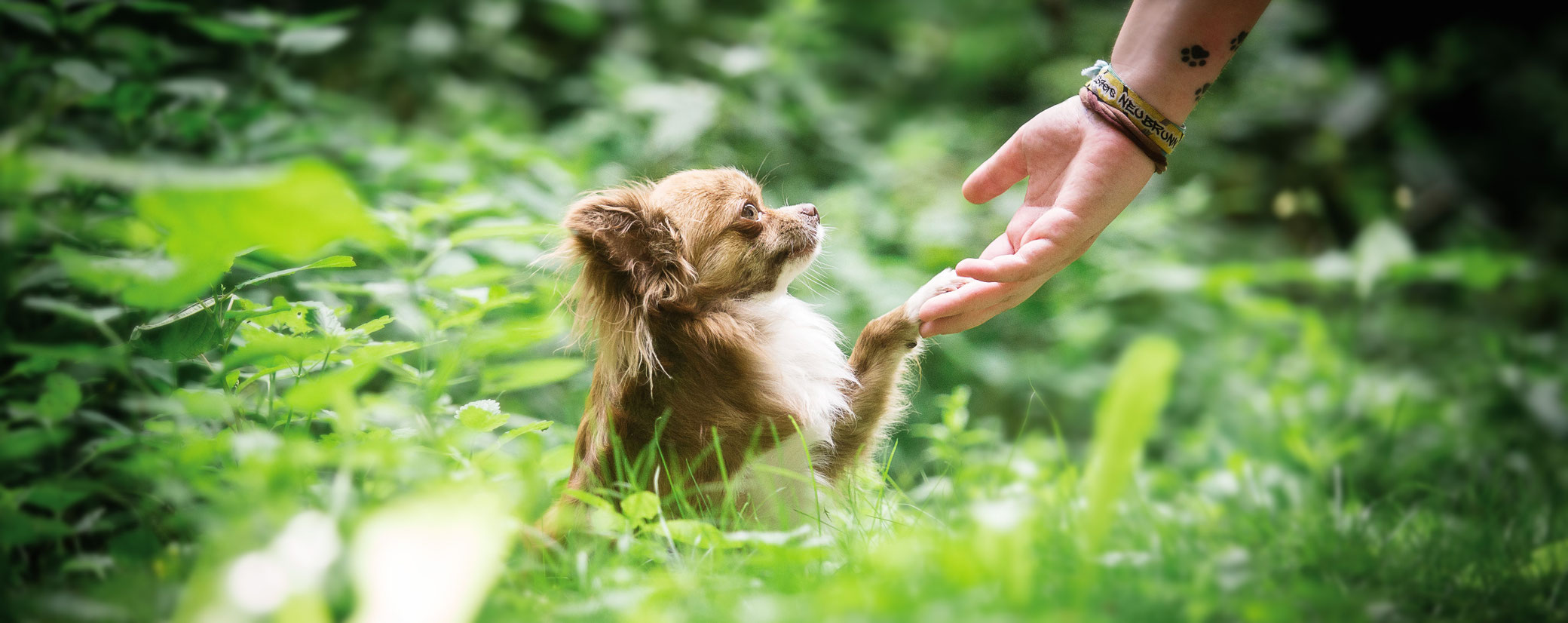 Gruppenfotos, Mensch und Tier - Kameratypin | Professionelle Tierfotografie