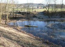 Veranstaltungen - nvbb bachenbülach