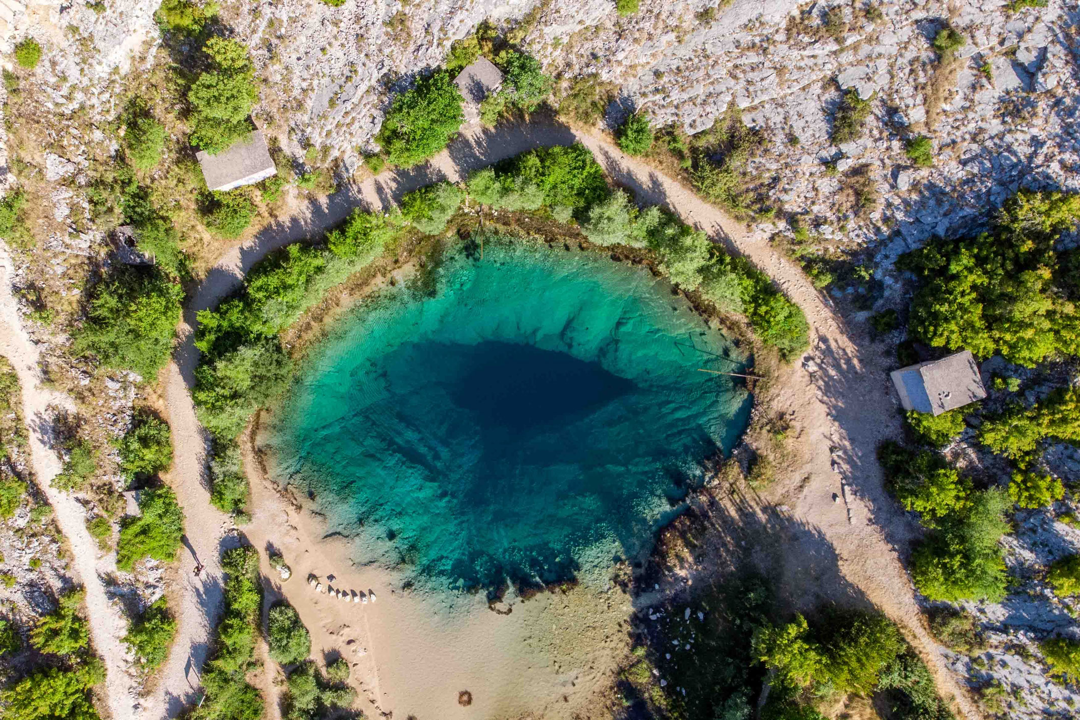 Blue Eye Cetina - roasn