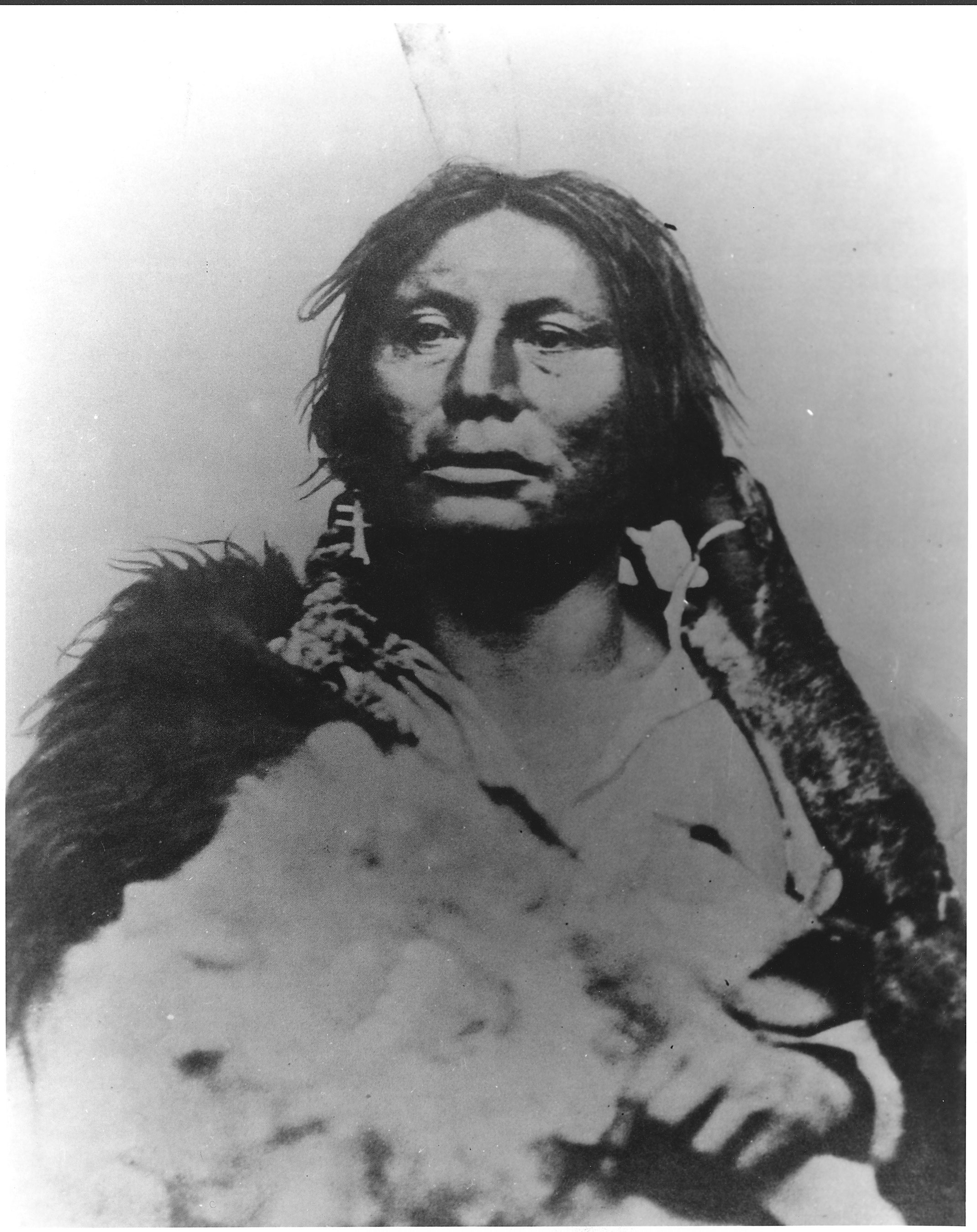 FIELE - Benvenuti su animarcobaleno!