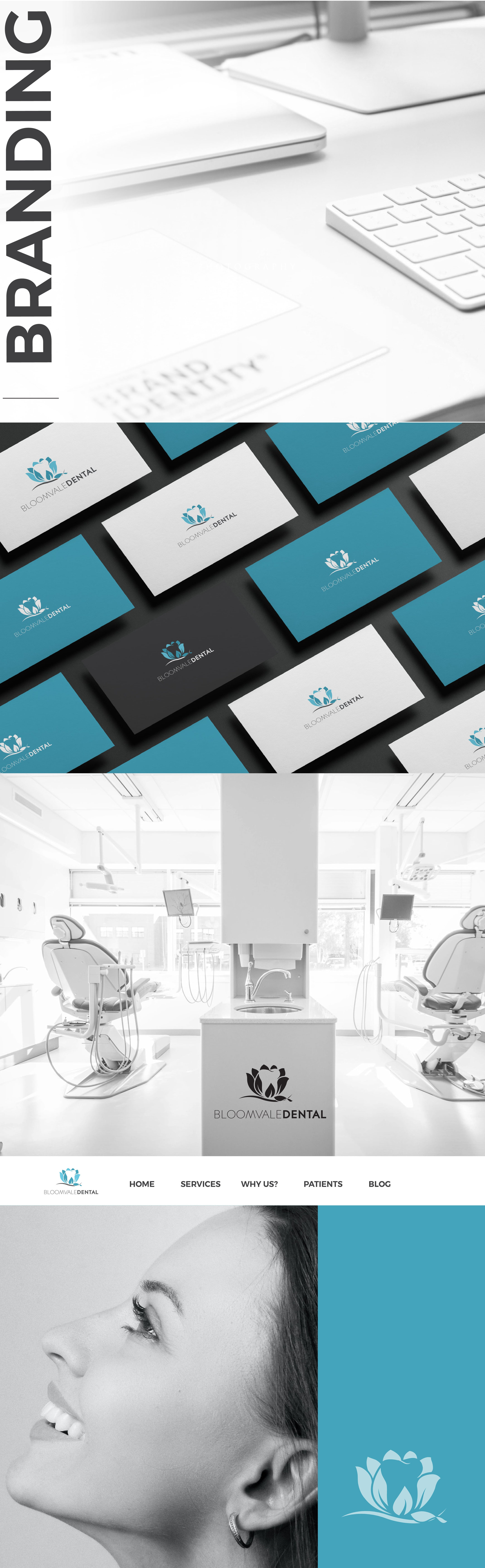 Bloomvale dental - graphicscape