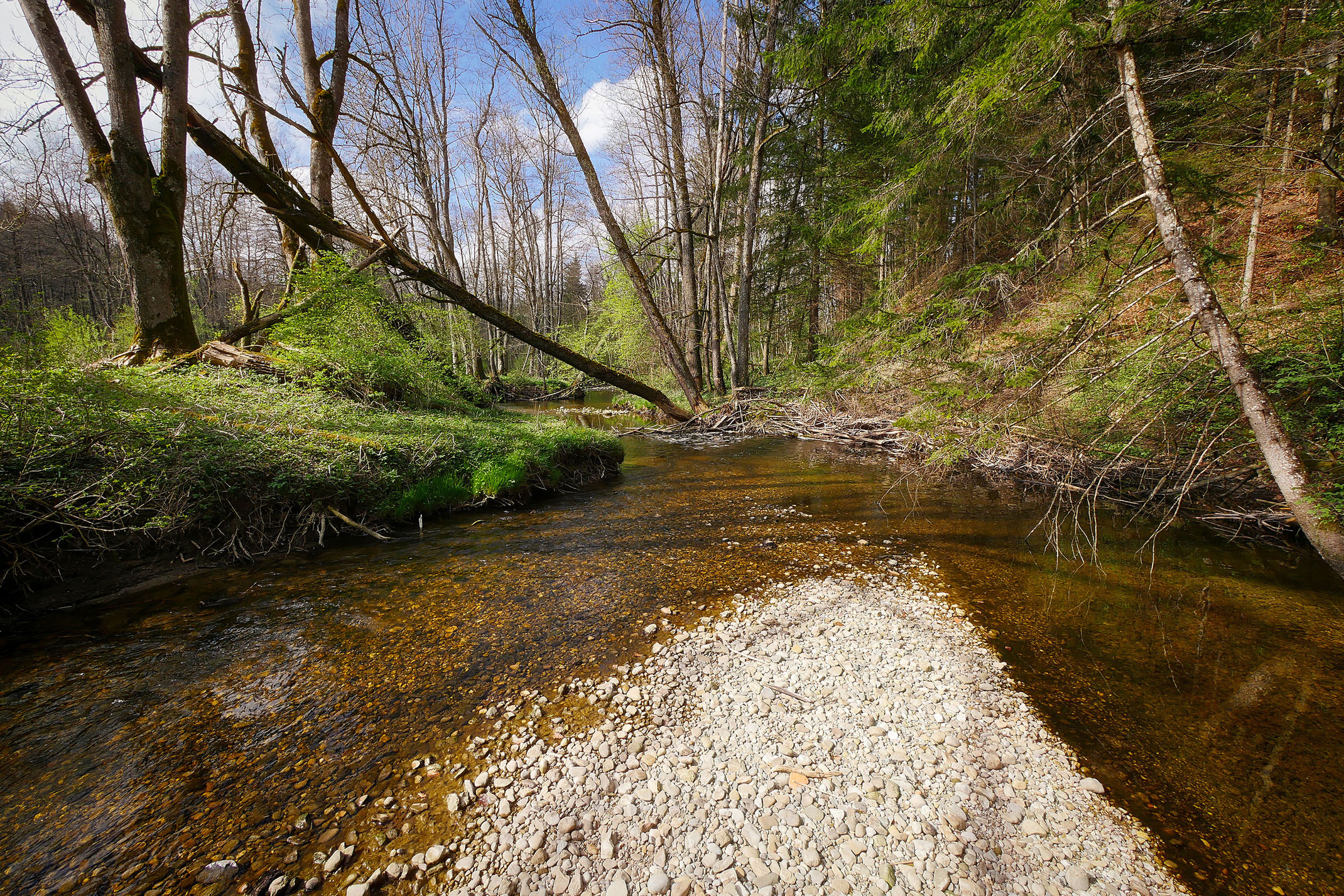 windach creek - fietzfotos – photgraphy by Albrecht Fietz