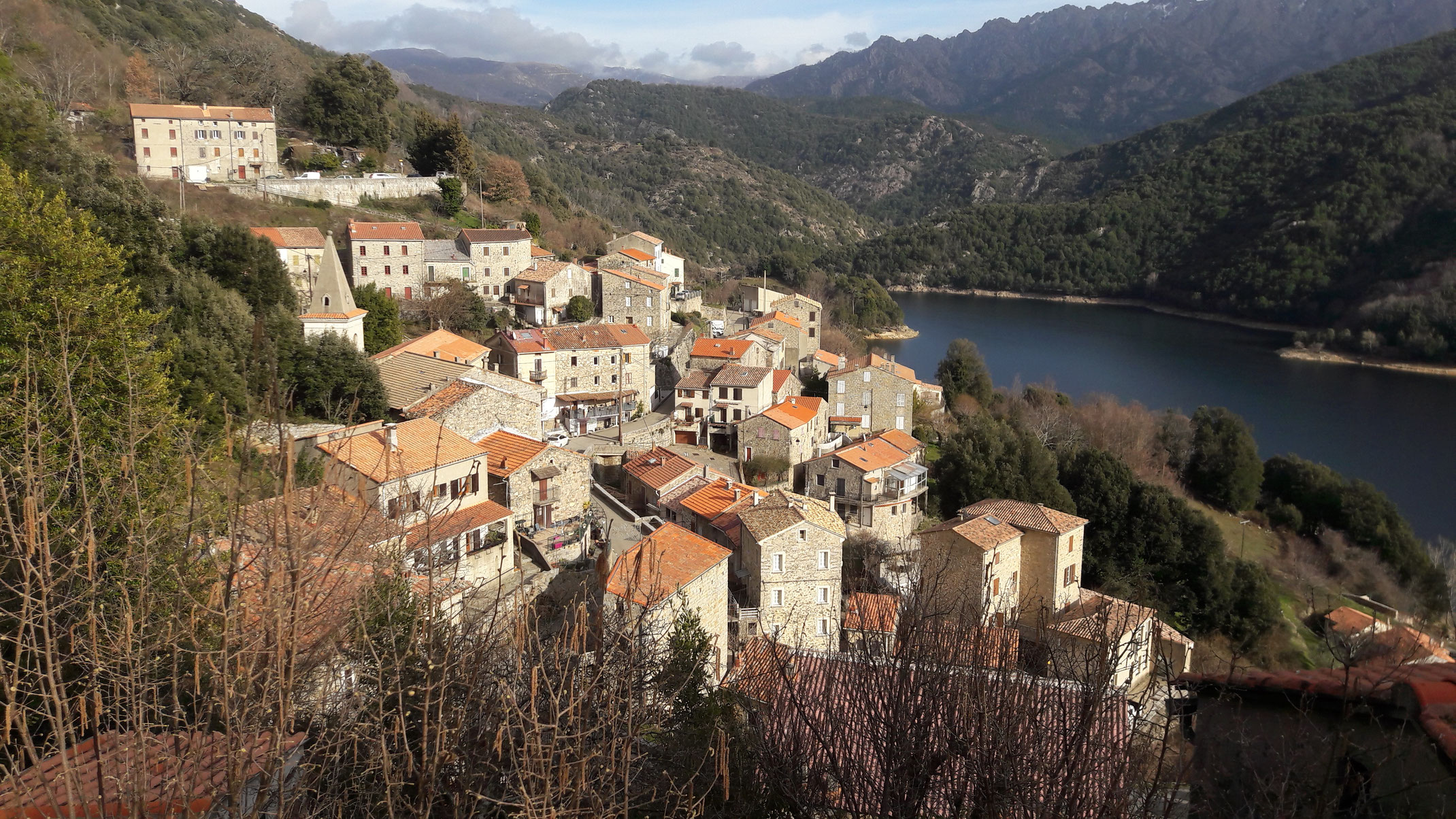 TOLLA - Site de plu-corse