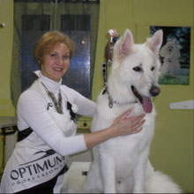 Toilettage Anny, Bichonner votre Chiens et Chats est une passion je ...