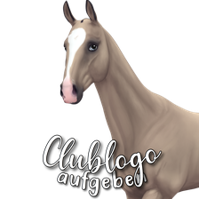 Clublogo aufgeben! - sso-clubhilfes Webseite!