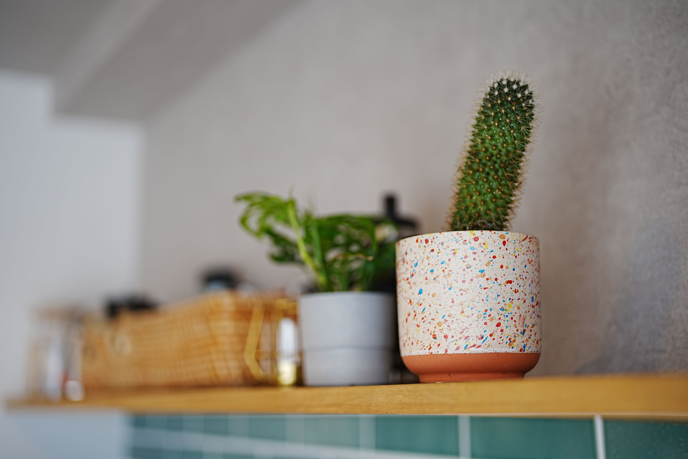 TK home / マンション /名古屋市 - 豊田市・岡崎市の注文住宅なら｜MINERBASE. - ミネルベース