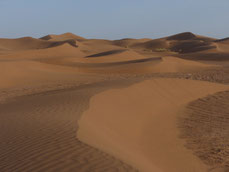 À propos - Site de insectedumaroc