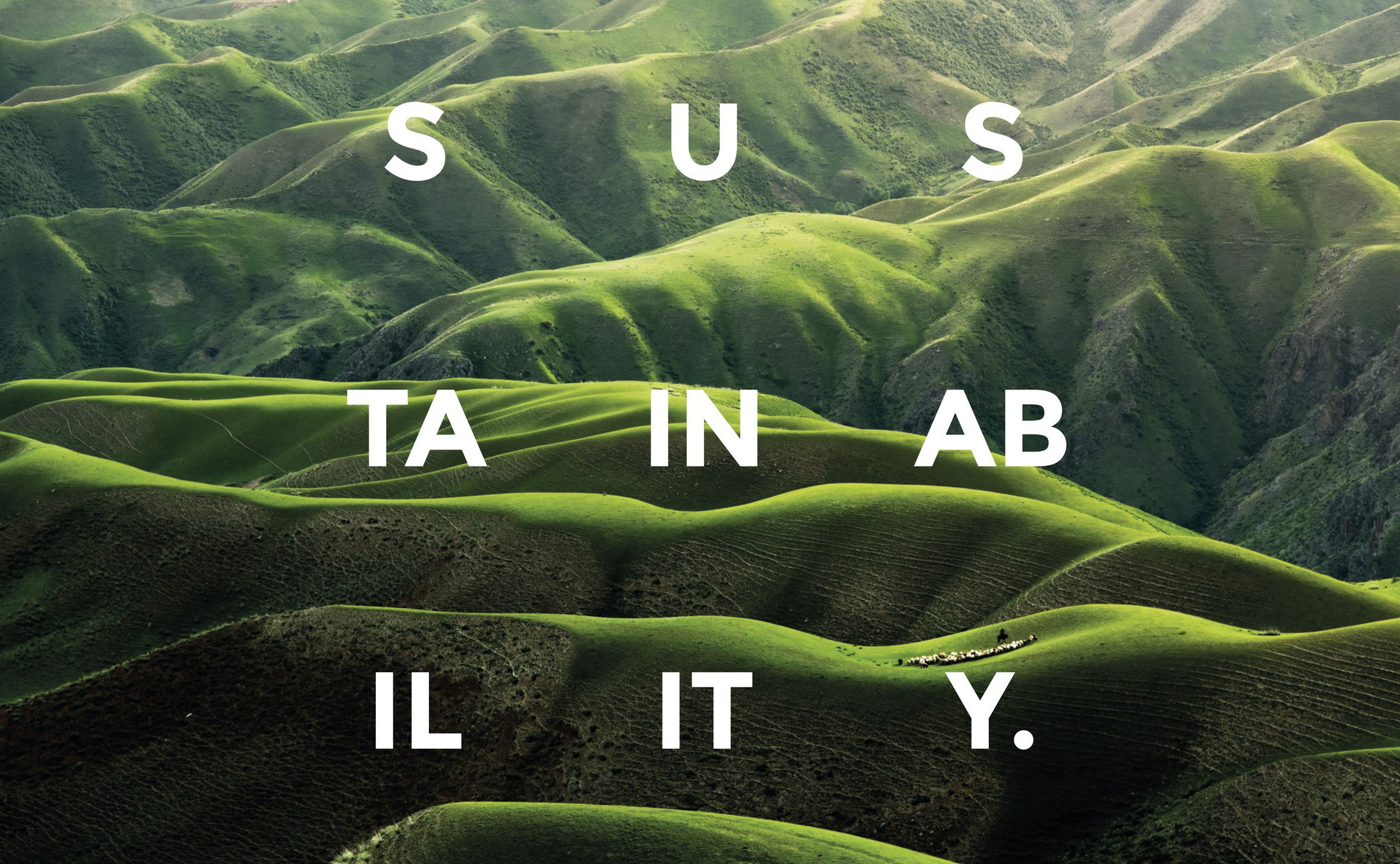 Sustainability - RATTPACK®