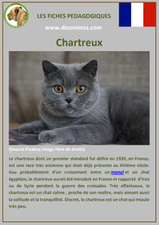 Toutes les fiches animaux de compagnie à télécharger - Dictionnaire des ...