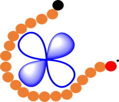 Home - Site de rinaldo-poli