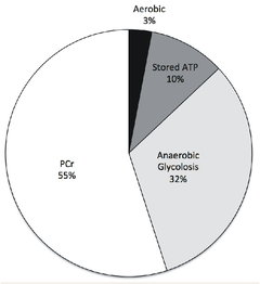 Testing anaerobic endurance in football - footballscience.net | Soccer ...