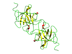 Über die Wunderbeere - Fruudoo | Wunderbeeren | Tabletten