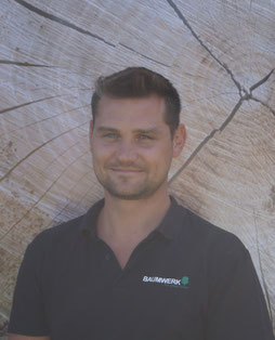 Unser Team - Baumwerk