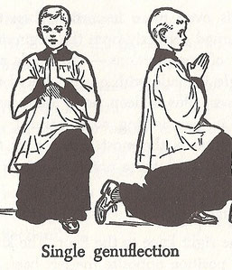 SIGNS AND GESTURES - IMMANUGRACE Free Gift For End Times