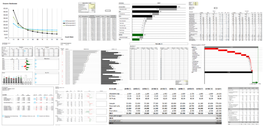 Excel Vorlage: McKinsey Portfolio - Hanseatic Business School