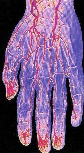 ZONE : "ELEVES DE 5ème" - Site de cours de collège et lycée en SVT