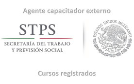 Agente Capacitador Externo STPS - Página web de ISO 45001:2018