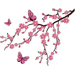 Suivi de grossesse - Site de sagefemme-angelique