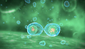 Bio SCORE (Biology Students Companion Resources) - edbiologykmpk