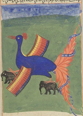 Ibn Al Wardi 1456 - pieterderideaux