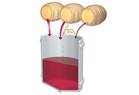 Étapes de vinification du vin rouge - Technologie Restaurant CFAVM