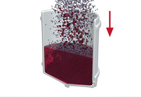 Étapes de vinification du vin rouge - Technologie Restaurant CFAVM