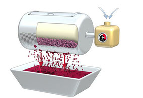 Étapes de vinification du vin rouge - Technologie Restaurant CFAVM